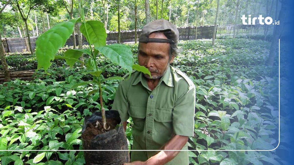 10 Poster Hari Tani Nasional 2024, Cara Buat, dan Ucapan