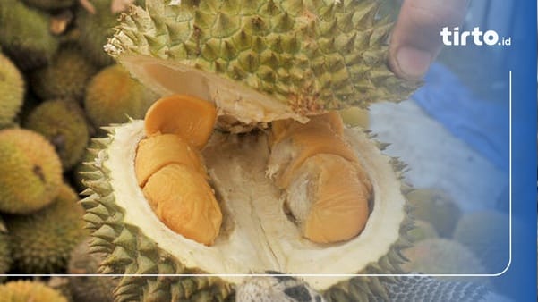 Cek Info Kalender Musim Buah di Indonesia Sepanjang Tahun