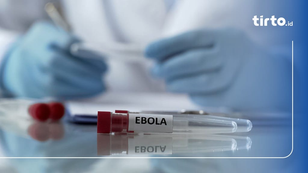 Wabah Ebola di Kongo dan Uganda, WHO: Darurat Kesehatan Dunia