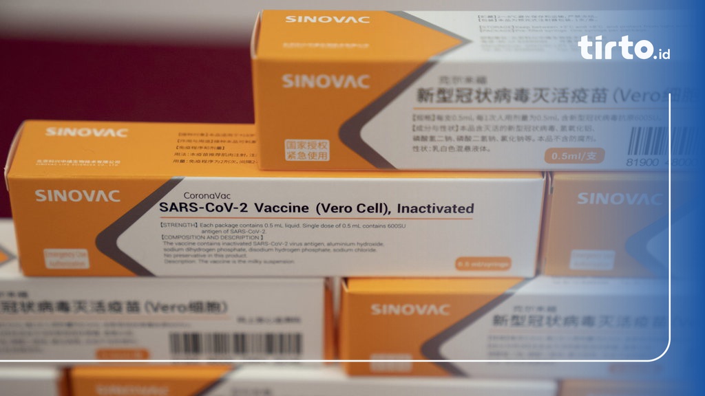 Kenali Vaksin Corona Sinovac Harga Efek Samping Kehalalan