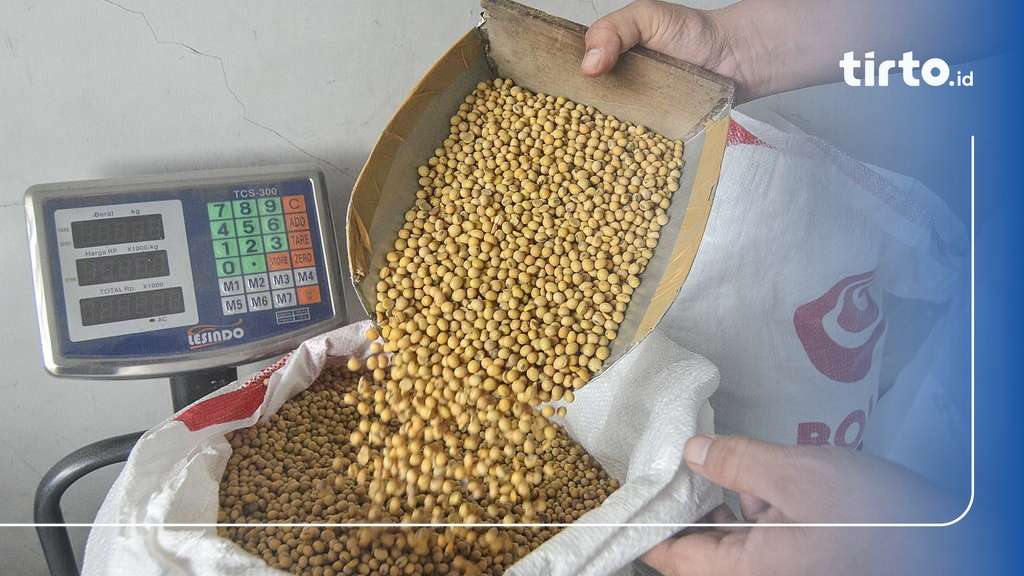 Bapanas Pastikan Stok Kedelai Aman sampai Akhir Tahun Bapanas Pastikan Stok Kedelai Aman sampai Akhir Tahun