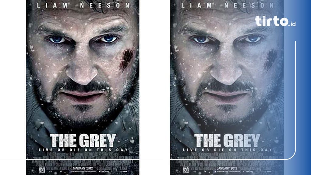 Sinopsis Film The Grey Bioskop Trans TV: Kisah Perjuangan di Alam