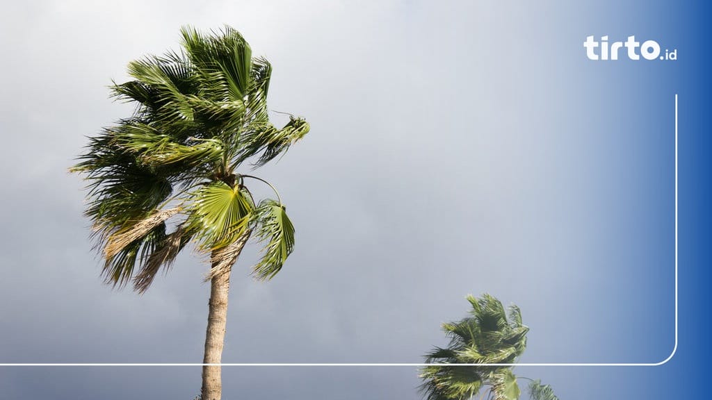 Mengenal Jenis-jenis Angin: Mulai dari Angin Darat sampai Laut