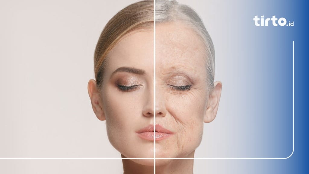 Struktur Lapisan Kulit Manusia, Fungsi, dan Macam Tipenya