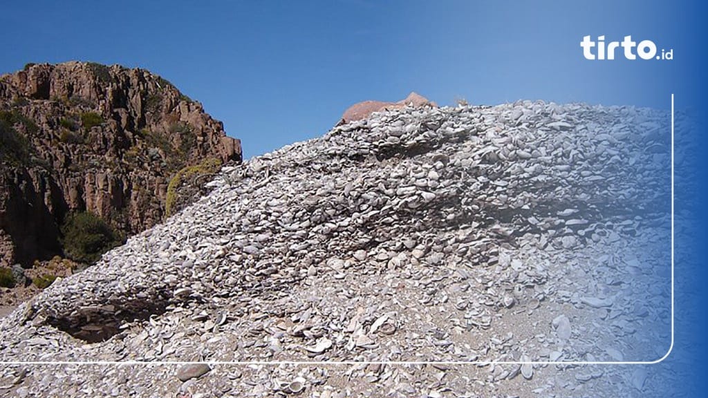 Pengertian Kjokkenmoddinger: Sejarah & Fungsinya di Zaman Praaksara