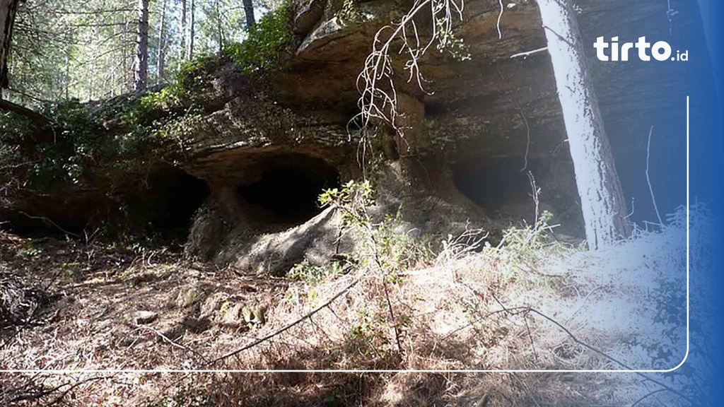 Apa itu Abris Sous Roche di Masa Praaksara Sejarah dan Fungsinya