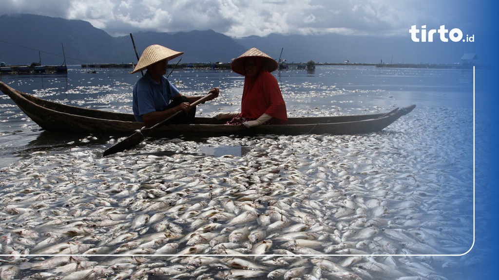 Ini Syarat Nelayan Dapat Bantuan Alat Tangkap Ikan dari KKP