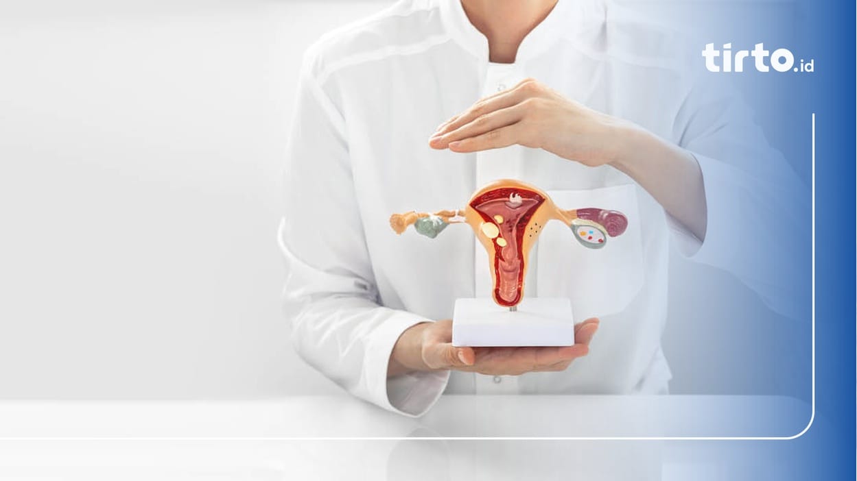 Apa Itu Tuba Fallopi dan Fungsinya dalam Reproduksi?