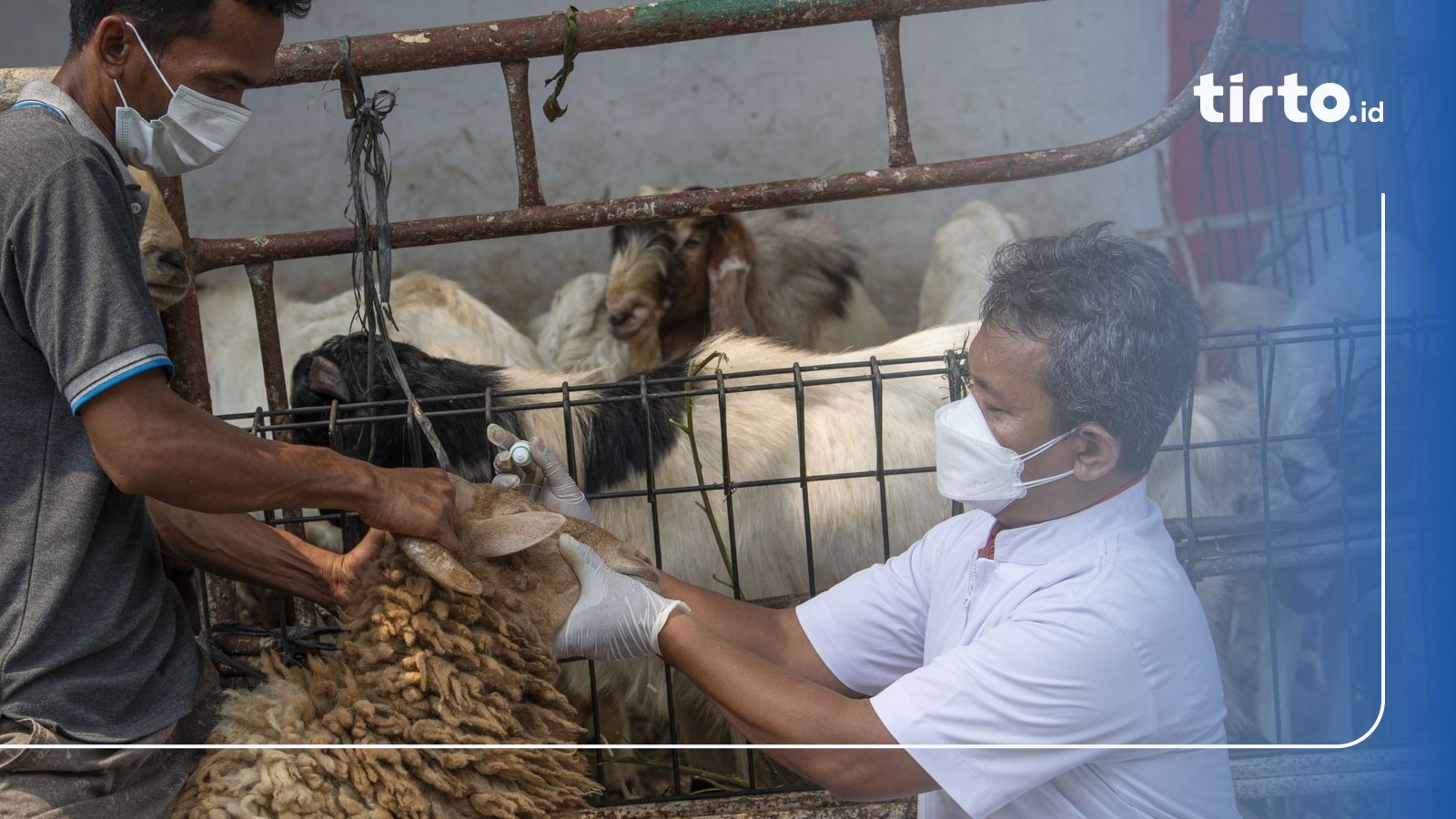 Panduan Sholat Idul Adha 2022 & Penyembelihan Kurban dari Kemenag Panduan Sholat Idul Adha 2022 & Penyembelihan Kurban dari Kemenag