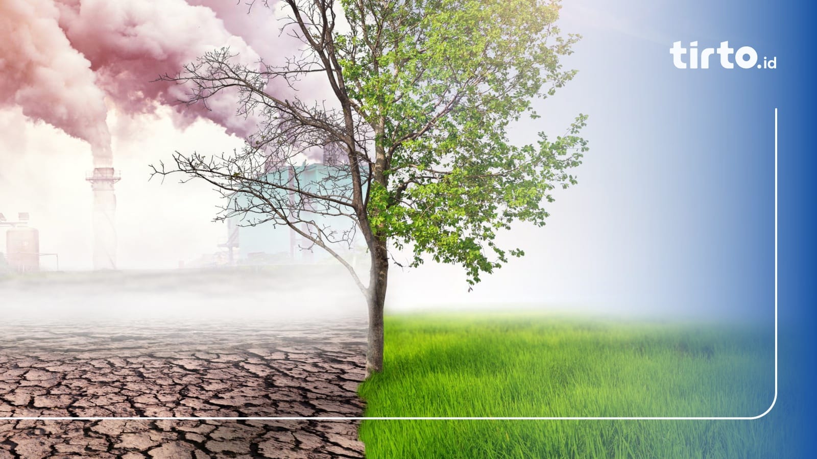 Dampak Pemanasan Global Bagi Makhluk Hidup dan Lingkungan Bumi