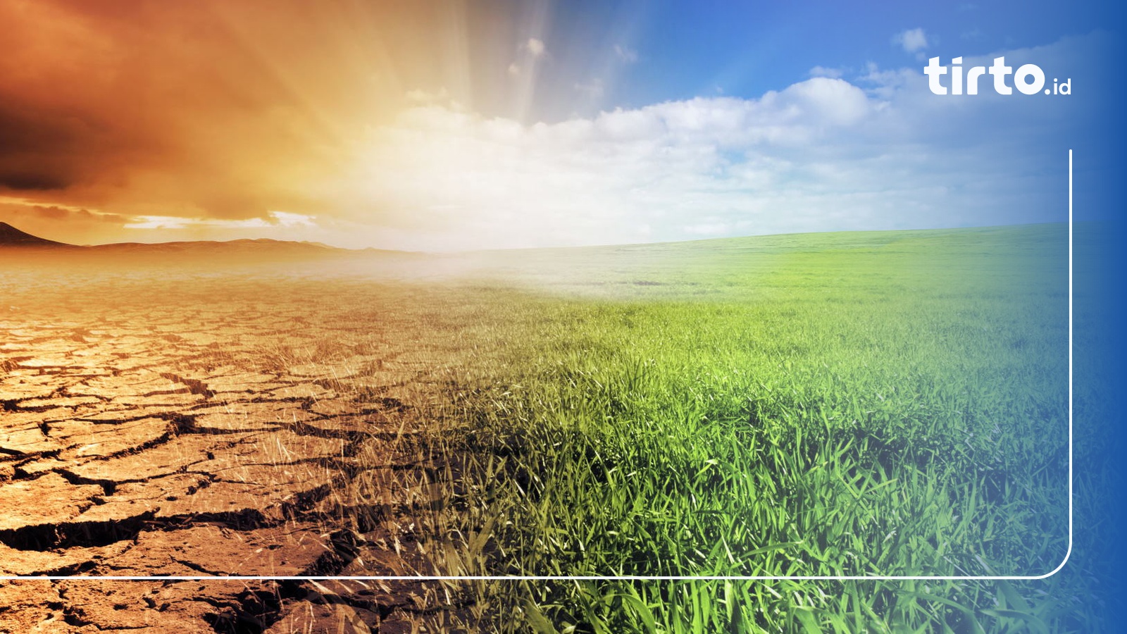 Dampak Perubahan Iklim Terhadap Sektor Pertanian di Indonesia