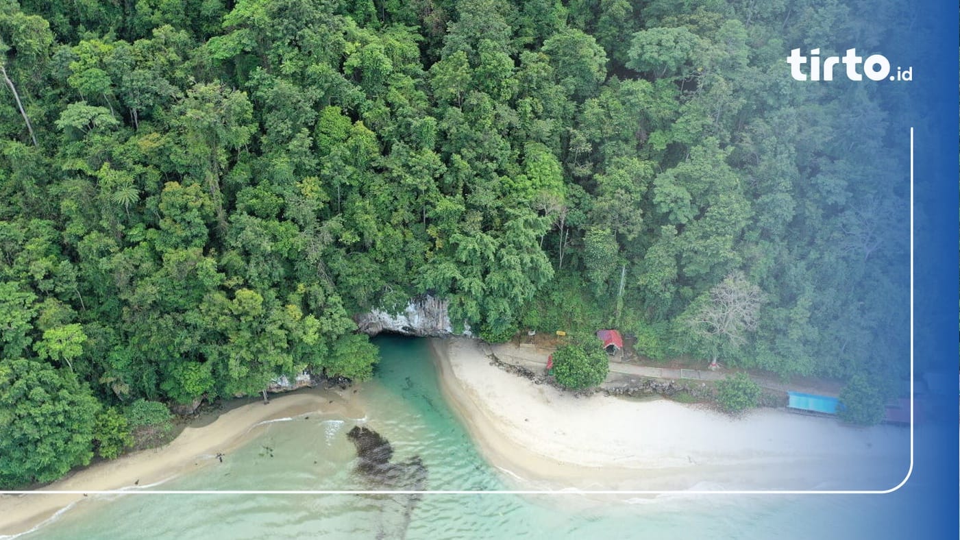 Dinamika Perairan Darat: Sungai, Daerah Aliran Sungai, Danau & Rawa