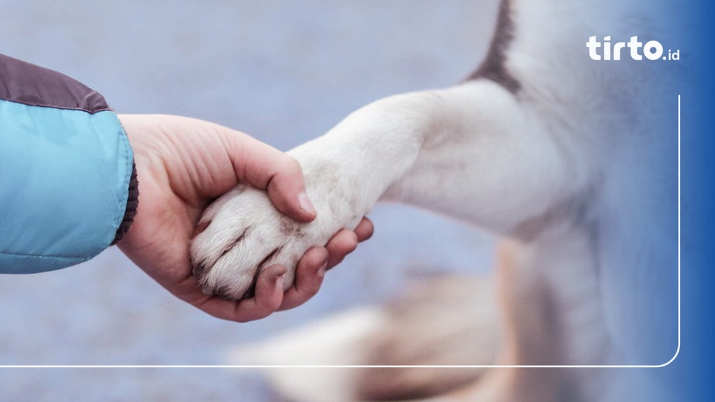 Tema Hari Hewan Sedunia 4 Oktober dan Tujuan World Animal Day