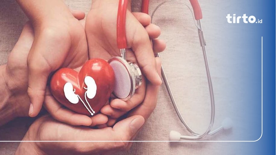 Makanan yang Aman Dikonsumsi Anak Penderita Masalah Ginjal Makanan yang Aman Dikonsumsi Anak Penderita Masalah Ginjal