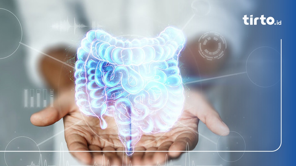 Fungsi Usus Halus dan Cara Kerjanya dalam Sistem Pencernaan