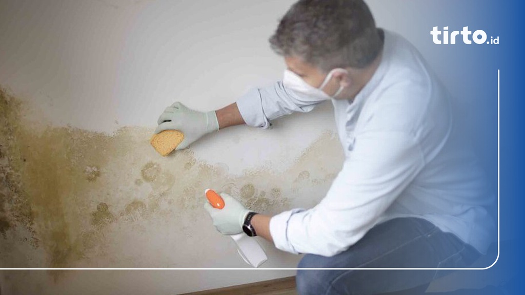 Cara Mengatasi Tembok Lembab dan Basah Akibat Rembes Air Hujan
