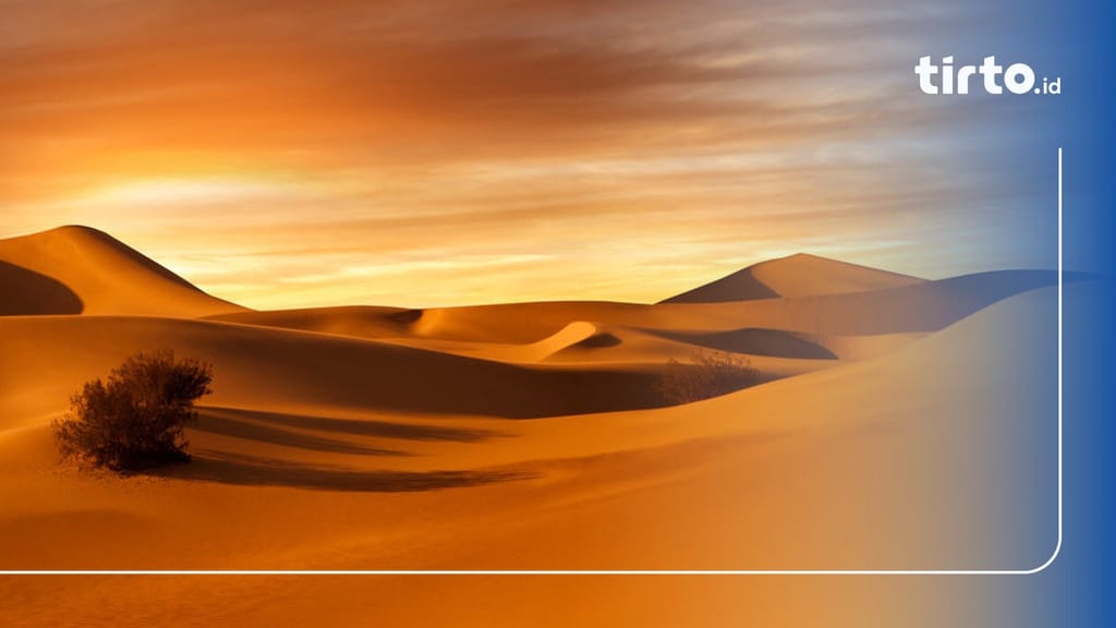 Mengenal Gurun Arab atau Arabian Desert yang Ada di Arab Saudi
