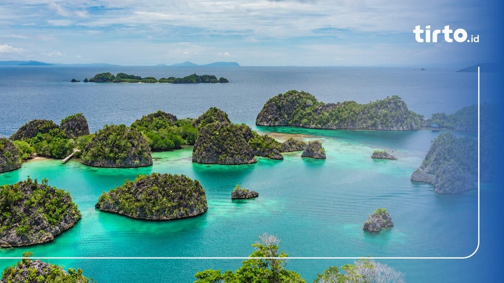 Kenapa Save Raja Ampat Viral dan Bagaimana Kondisi Terkini?