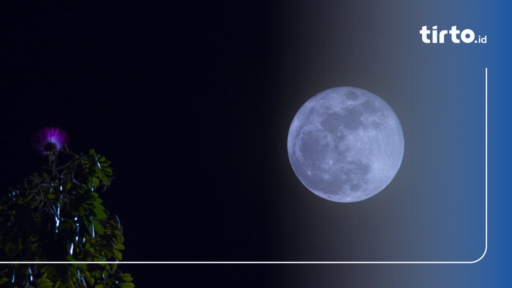 Apa Itu Fenomena Cold Moon, Kapan Muncul, & Cara Mengamati