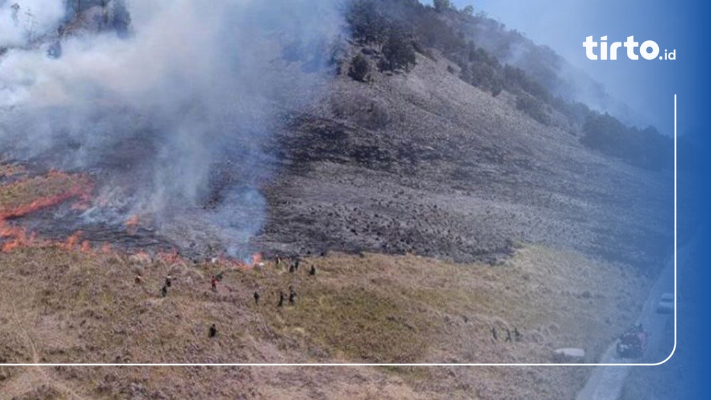 Fakta Penyebab Bukit Teletubbies Gunung Bromo Kebakaran Lagi Fakta Penyebab Bukit Teletubbies Gunung Bromo Kebakaran Lagi