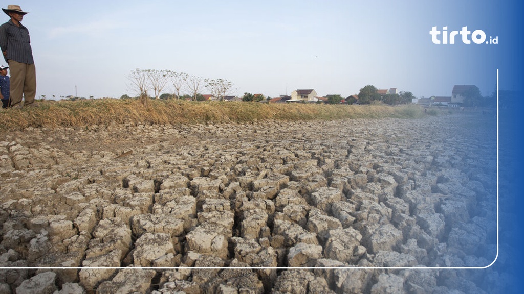BNPB: 2 Desa di Karawang Dilanda Kekeringan & Krisis Air Bersih