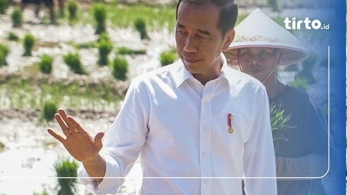 Jokowi Cerita Awal Mula Bantuan Ganti Rugi ke Petani Gagal Panen