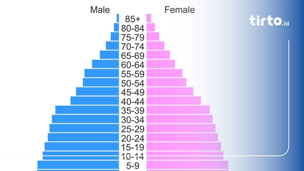 Apa Saja Jenis Piramida Penduduk dan Contohnya?