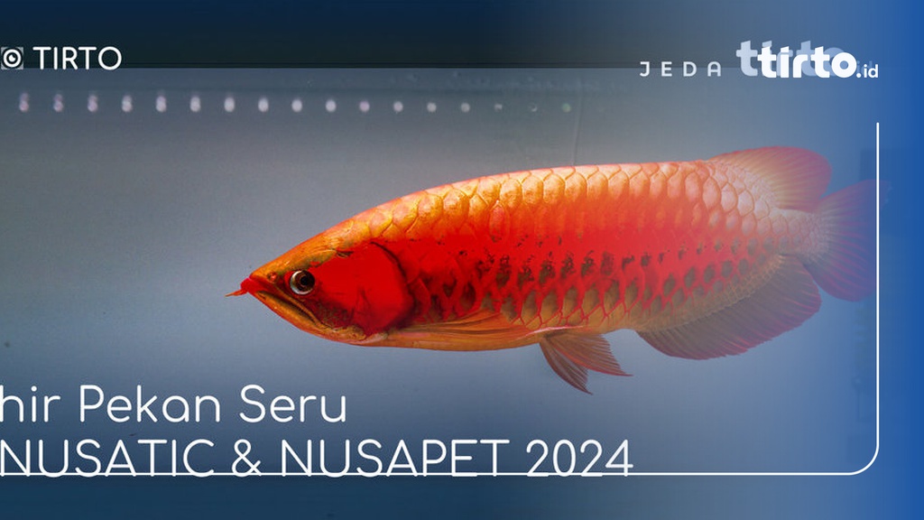 Akhir Pekan Seru di NUSATIC & NUSAPET 2024