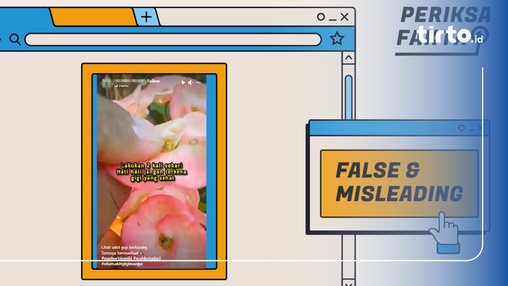 Getah Bunga Mahkota Duri Bisa Sembuhkan Sakit Gigi, Apa Benar?