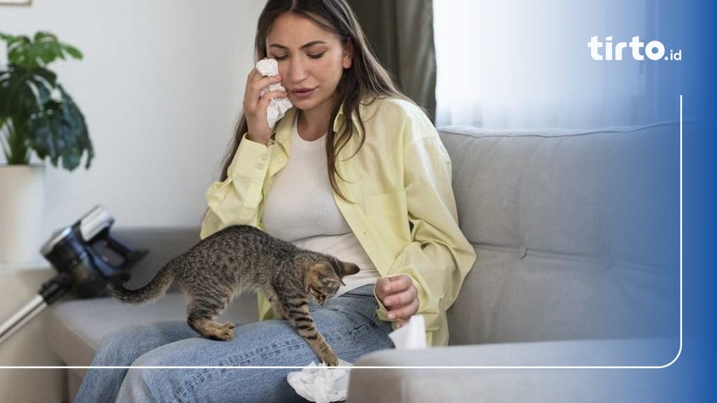 Studi: Kucing Lebih Suka dengan Orang-Orang yang Tak Menyukainya