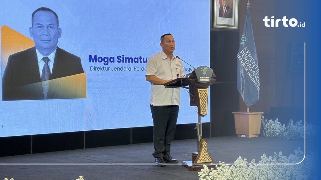 Kemendag Belum Terima Pengajuan Izin dari E-commerce Temu