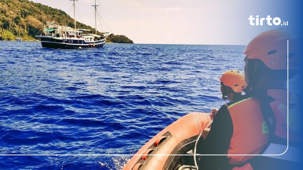 5 Fakta Turis AS Dimakan Hiu Saat Berlibur di Maluku