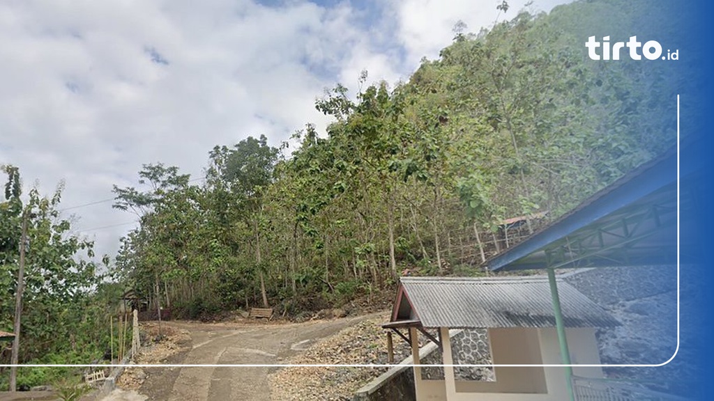 Di Mana Lokasi Dusun Wotawati Gunungkidul dan Apa Keunikannya?
