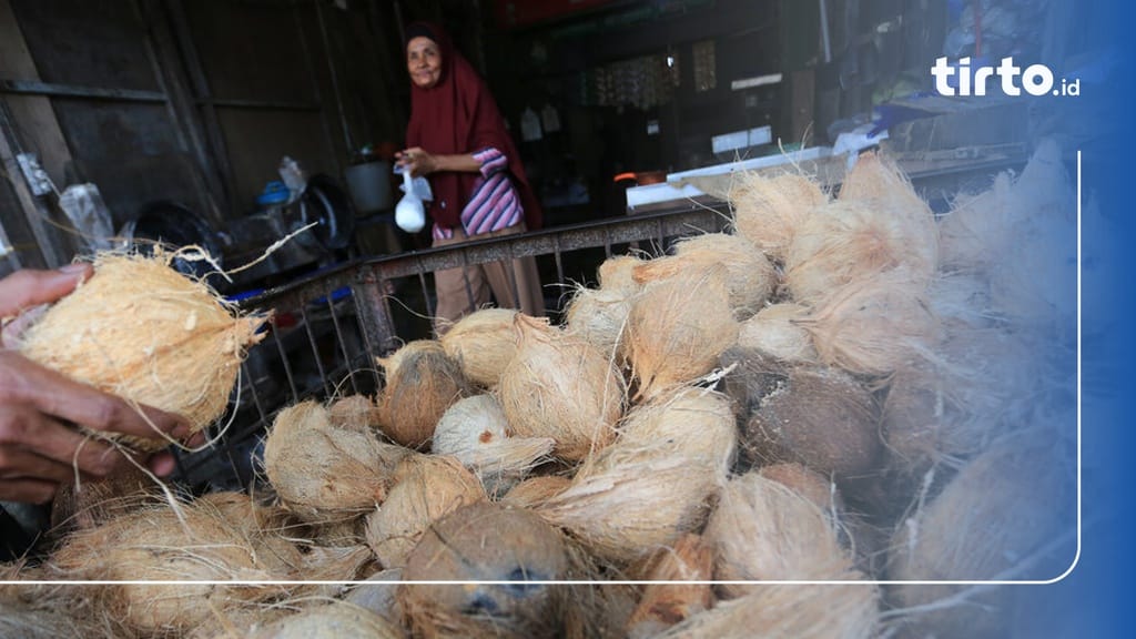 Mendag Ungkap Penyebab Kelapa Bulat Mahal Jelang Lebaran