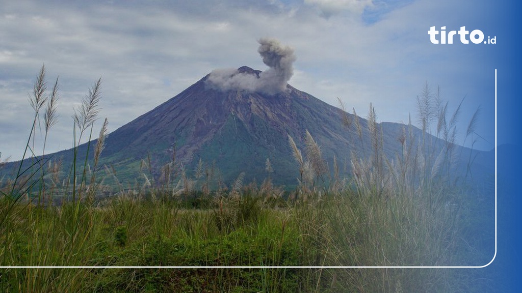 Gunung Semeru Meletus 3 Kali Hari Ini dan Info Ketinggian Erupsi