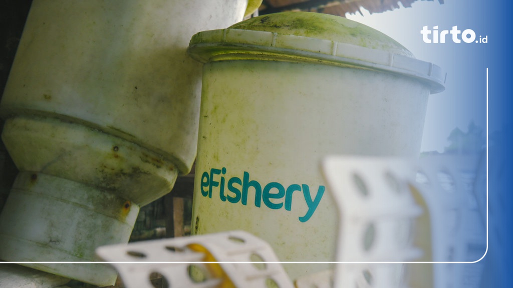 Andri Yadi Jelaskan Posisinya Terkait Kasus eFishery