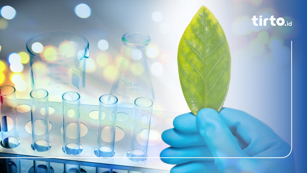 Apa Itu Monomer Biopolimer? Kegunaan, Jenis, dan Contohnya