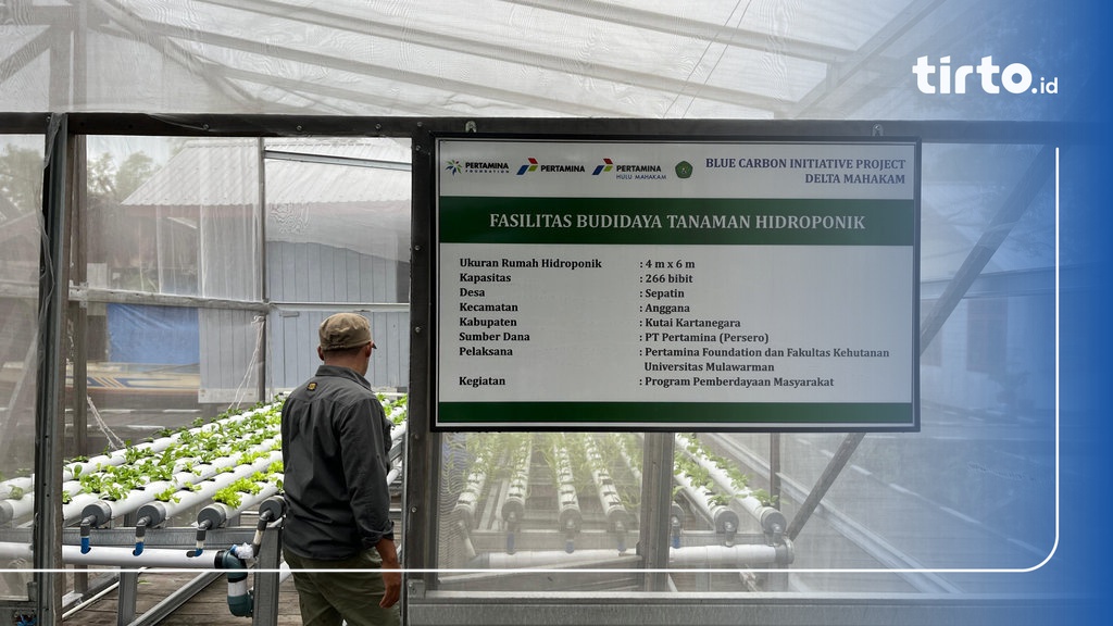 Pertamina Foundation Jaga Lingkungan Lewat Program Hutan Lestari