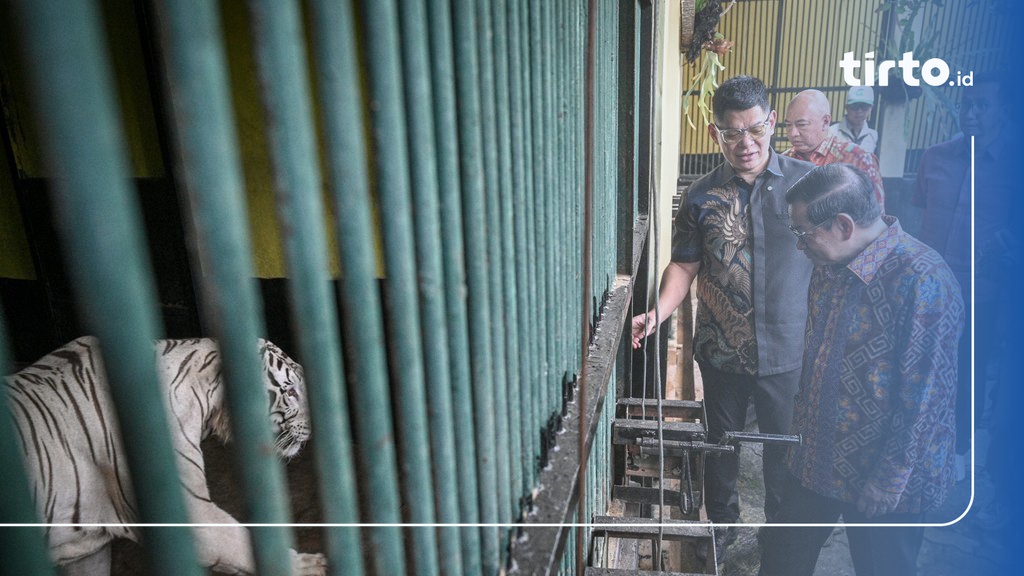 Mulai 11 Oktober Ragunan Buka hingga Malam Setiap Sabtu