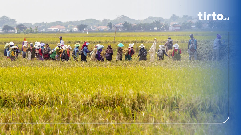 Ucapan Selamat Hari Tani Nasional 2025 untuk Caption Sosmed