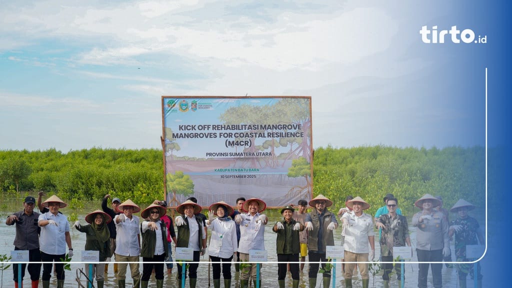 Menhut Targetkan Penanaman Mangrove 15.387 Hektare pada 2025