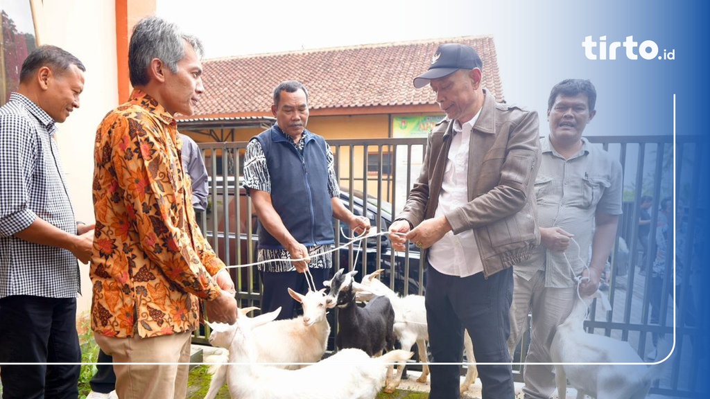 Kemensos Rintis Kampung Berdaya Bidang Peternakan di Magelang