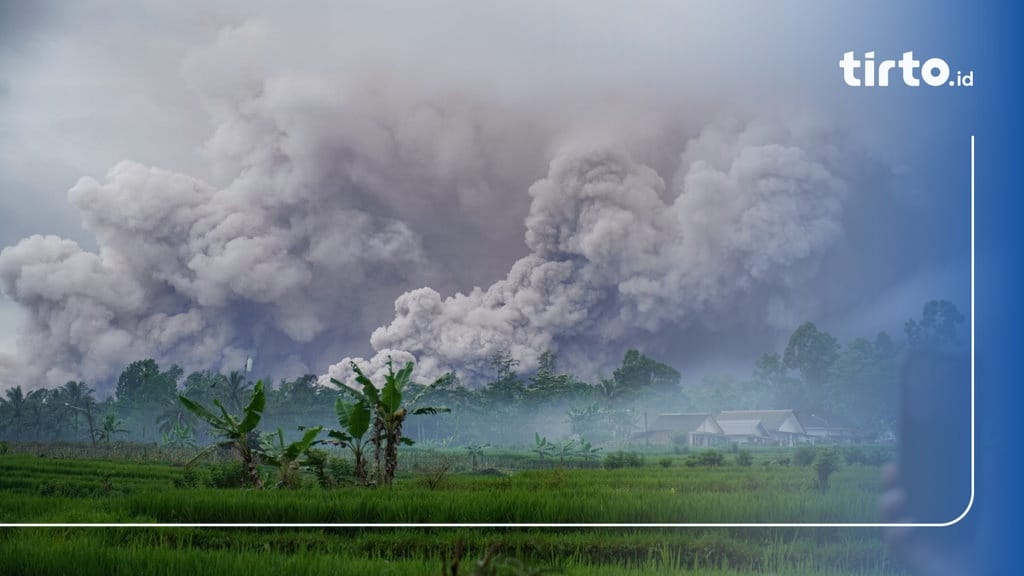 Update Erupsi Semeru Hari Ini, Dampak, dan Status Terkini