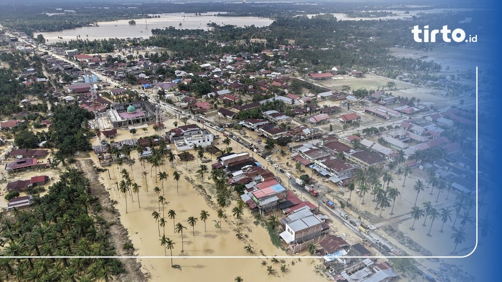 Apa Saja Penyebab Banjir Sumatra? Ini Kata BMKG dan Walhi