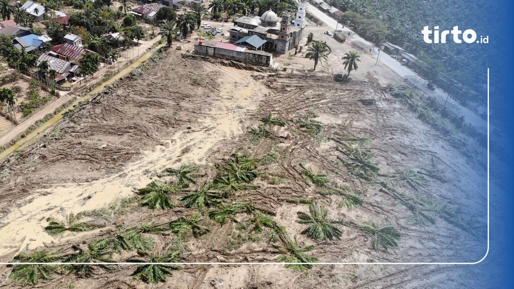 Tangani Lumpur, Bupati Aceh Tamiang Minta Pusat Kirim Alat Berat
