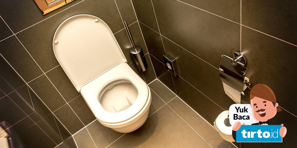 Ketahui 5 Cara Menggunakan Soda Api untuk Mengatasi WC Mampet
