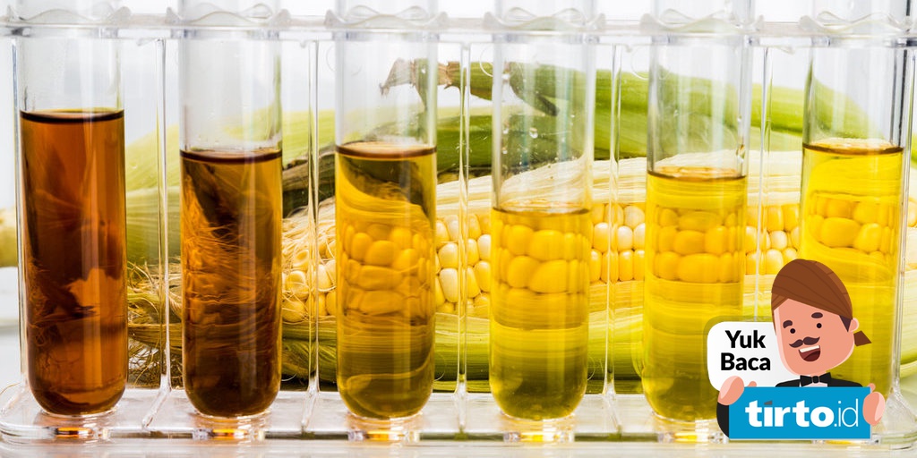Mengenal Biofuel, Manfaat, Jenis, dan Contohnya