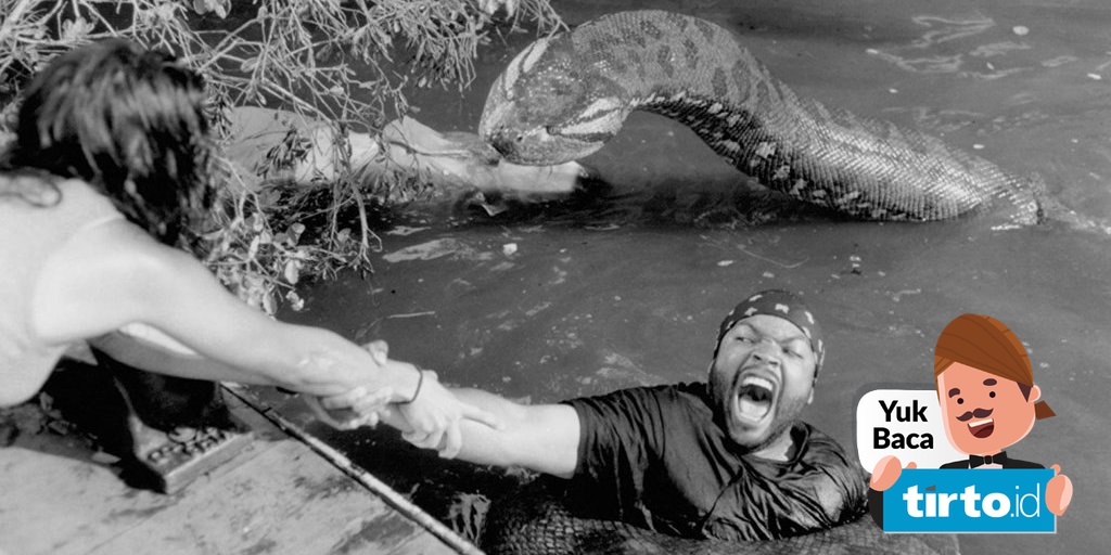 Film Anaconda: The Hunt for the Blood Orchid di Trans TV Jam 14.00