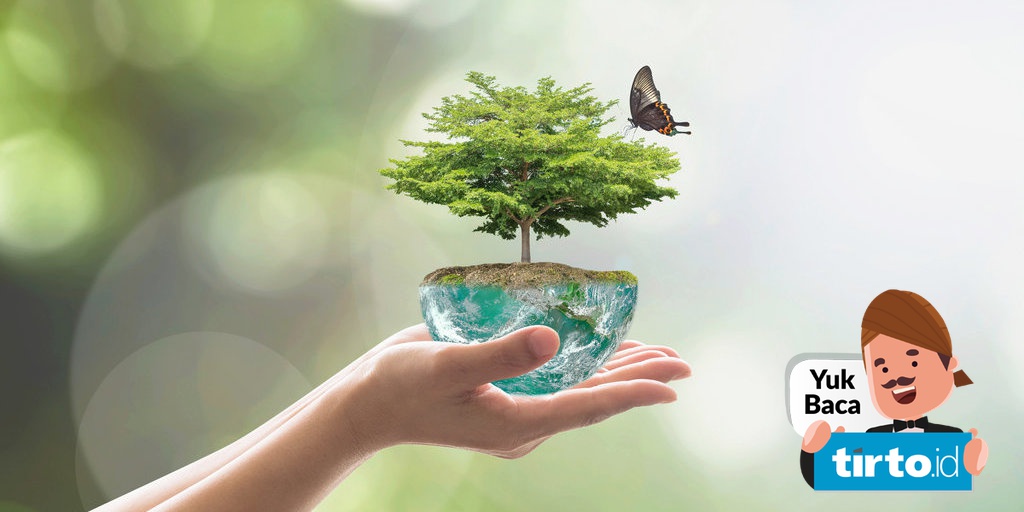 Apa Itu Go Green dan Bagaimana Cara Menerapkannya di Rumah?