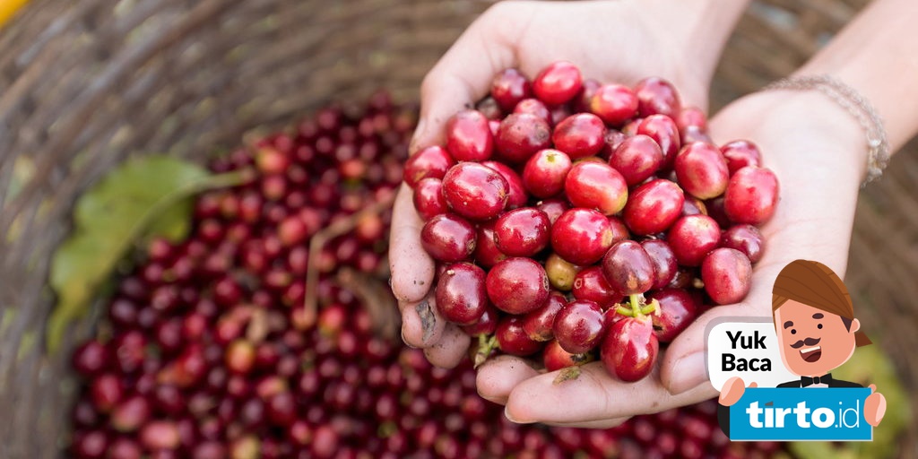 Apa Saja Manfaat Buah Ceri untuk Tubuh dan Kandungan Nutrisinya?